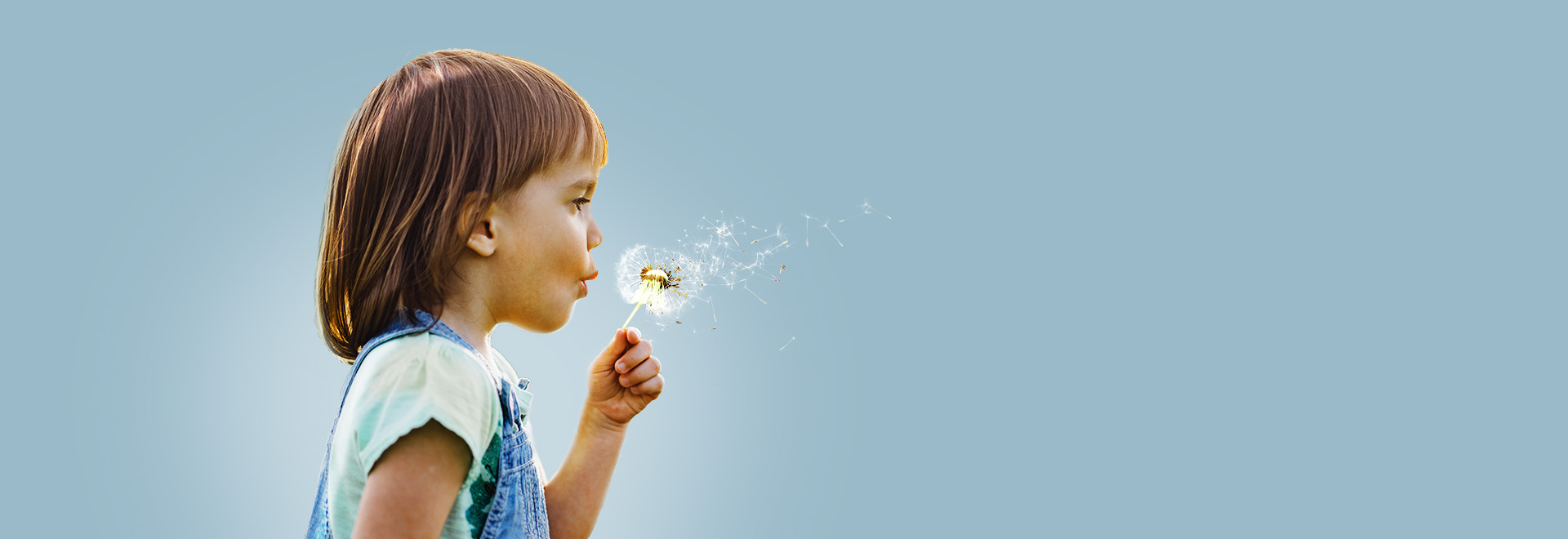 Dandelion childcare centre - Dandelion