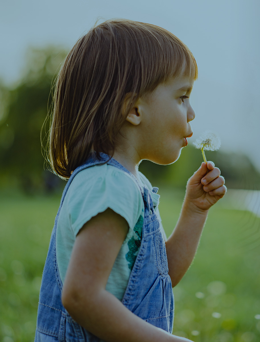 Dandelion childcare centre - Dandelion